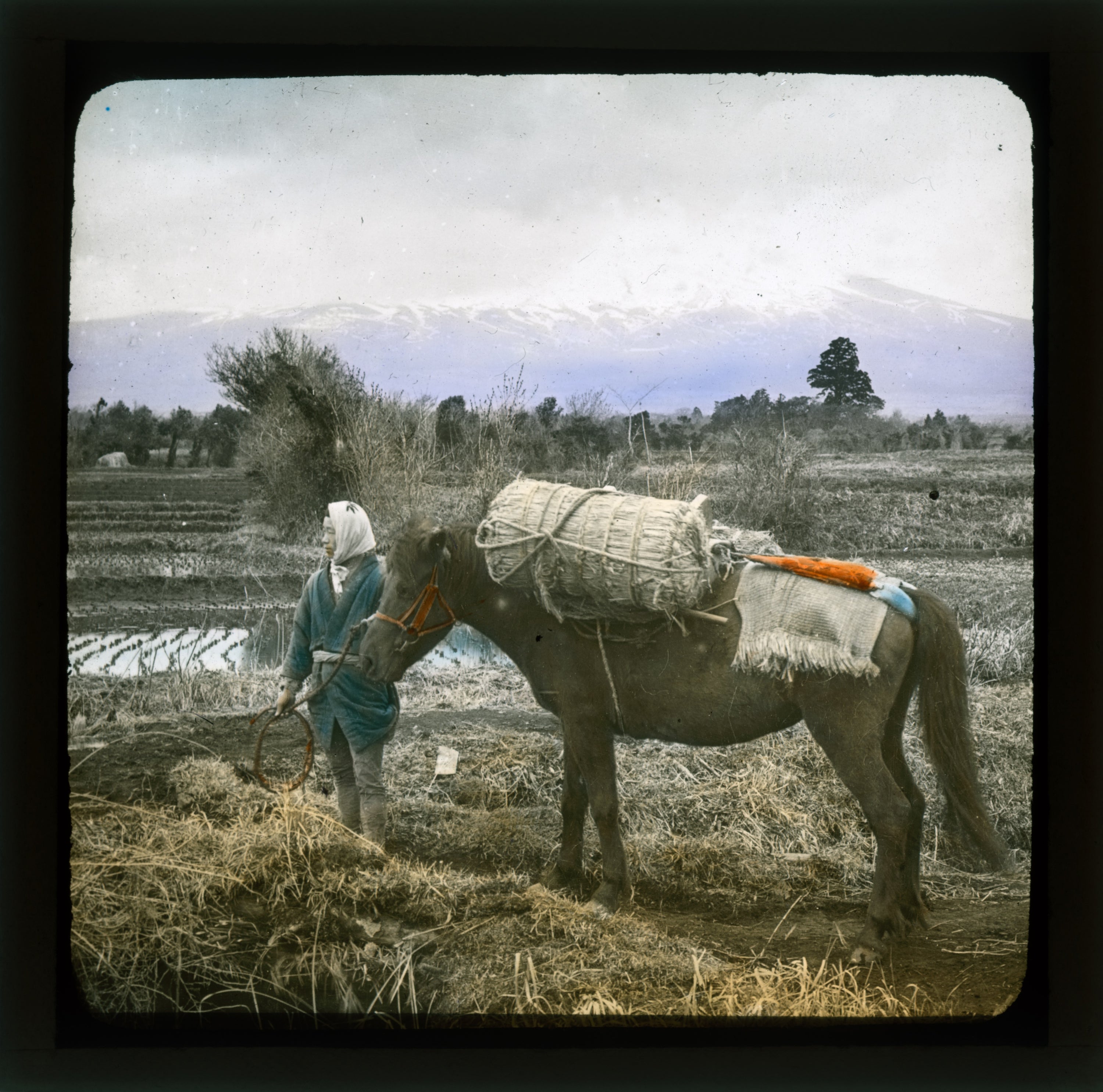 Lost Traditions: Horses and Horse Medicine in pre-Modern Japan – David ...