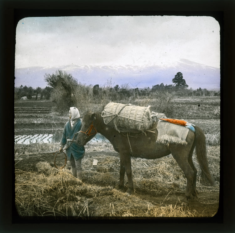 Lost Traditions: Horses and Horse Medicine in pre-Modern Japan – David ...